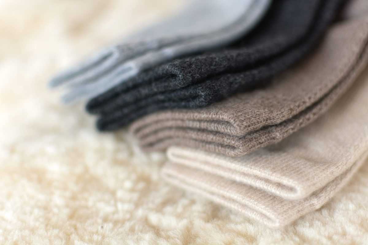 Real Silk Life | What is the difference between wool and cashmere?