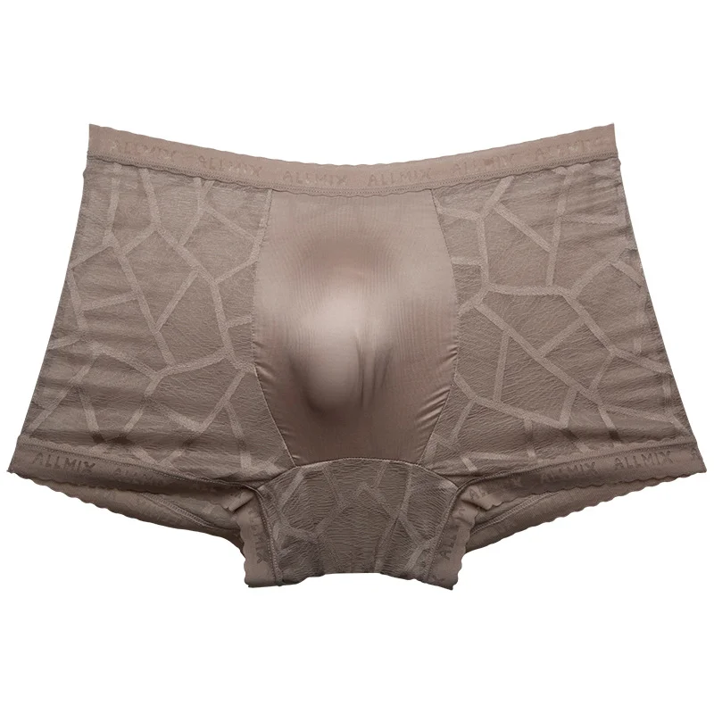 Men's Sexy Translucent Ice Silk Thin Boxer Briefs