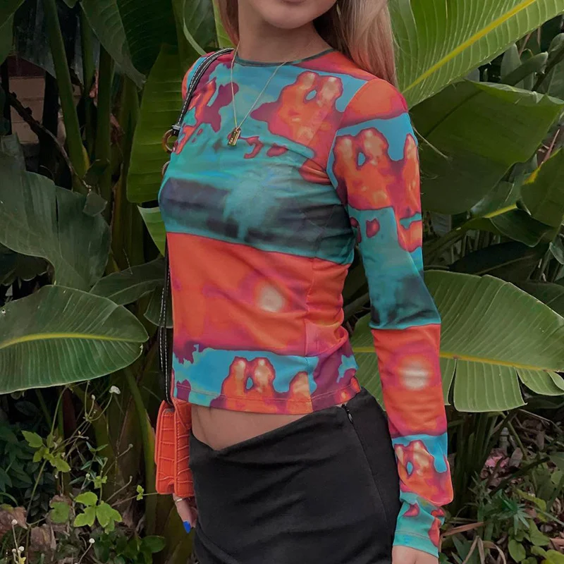 MULTICOLOR PRINT MESH LONG SLEEVE TOP