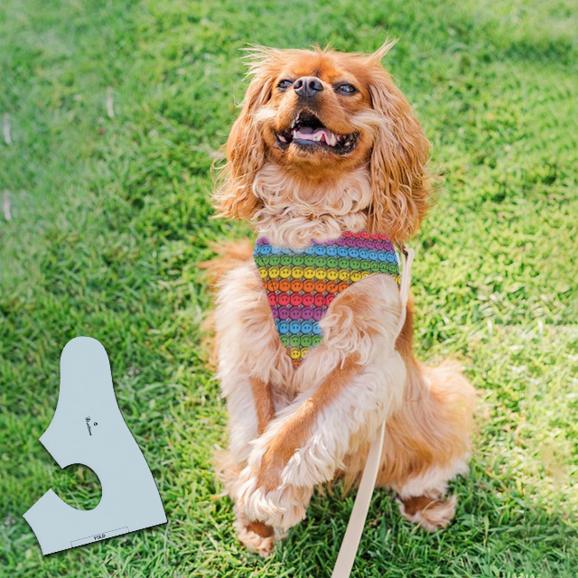 DIY Dog Harness Sewing Template&Instruction