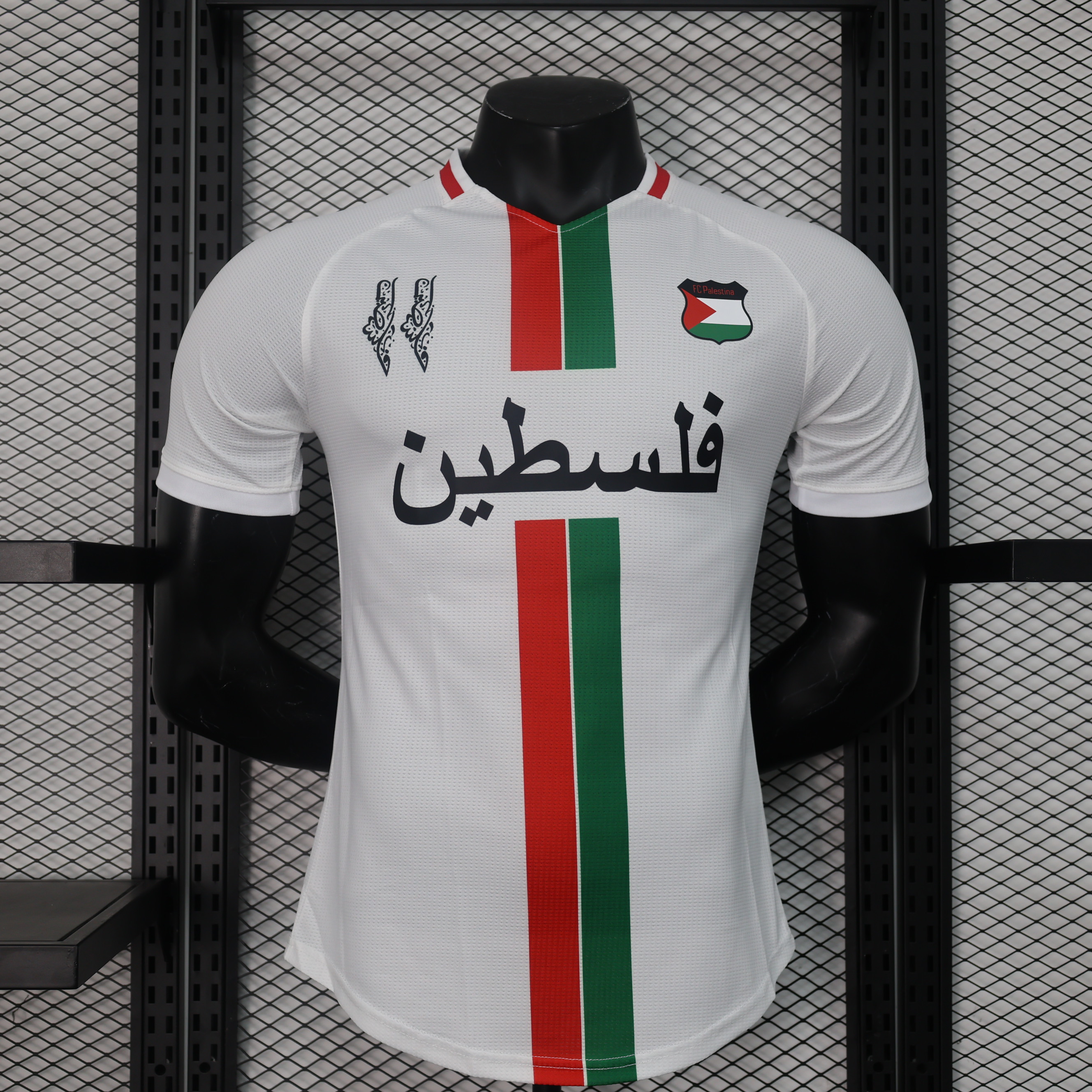 player version 2024 Palestine