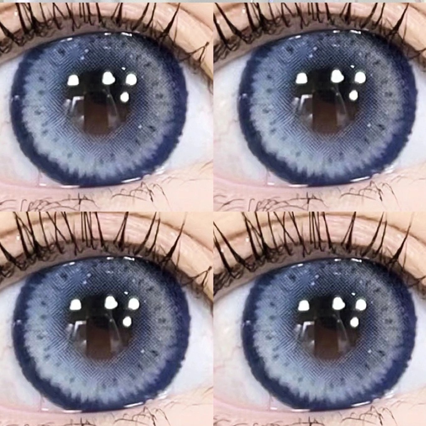 【NEW】Dolly House Blue Colored Contact Lenses,blue contact lenses ...