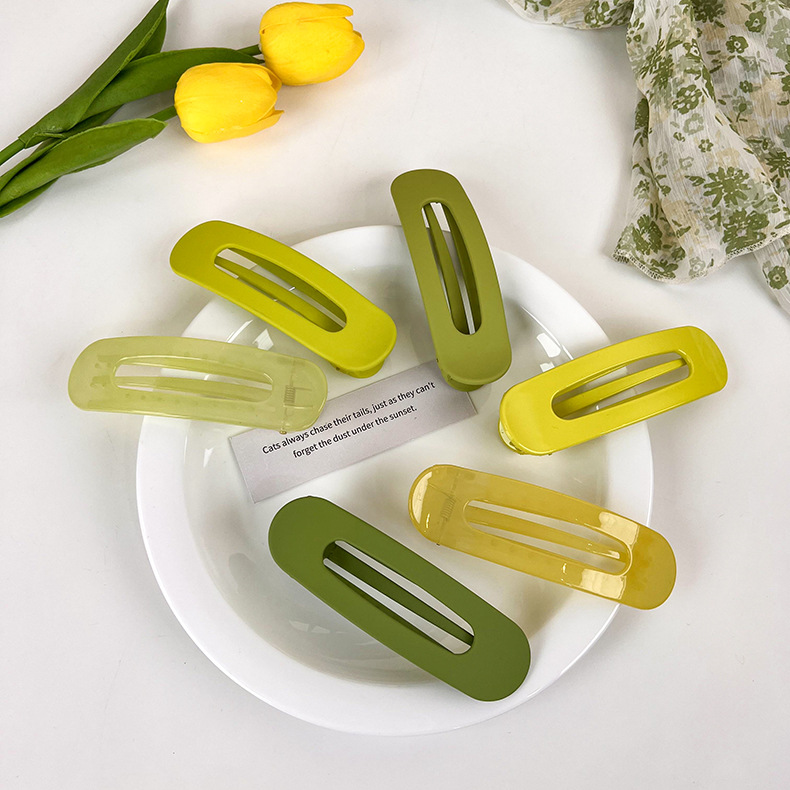 SPRING AND SUMMER GREEN HAIR CLIP SET