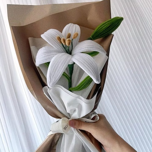DIY Pipe Cleaners Kit - Lily Flower - Deep Affection, Pure Love ...