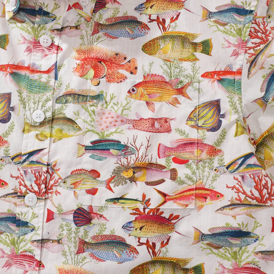 Lively Fish Will Transport You To Warm