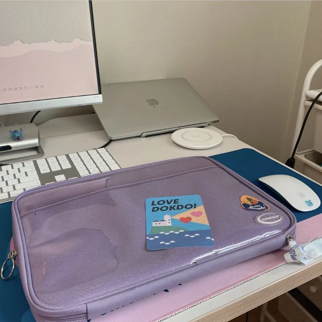 Transparent Ipad Laptop Bag