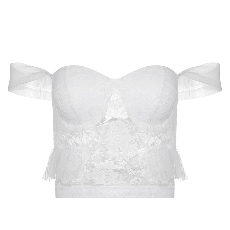 MESH LACE PERSPECTIVE TUBE TOP