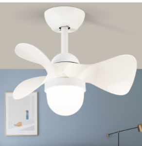 Ceiling Fans