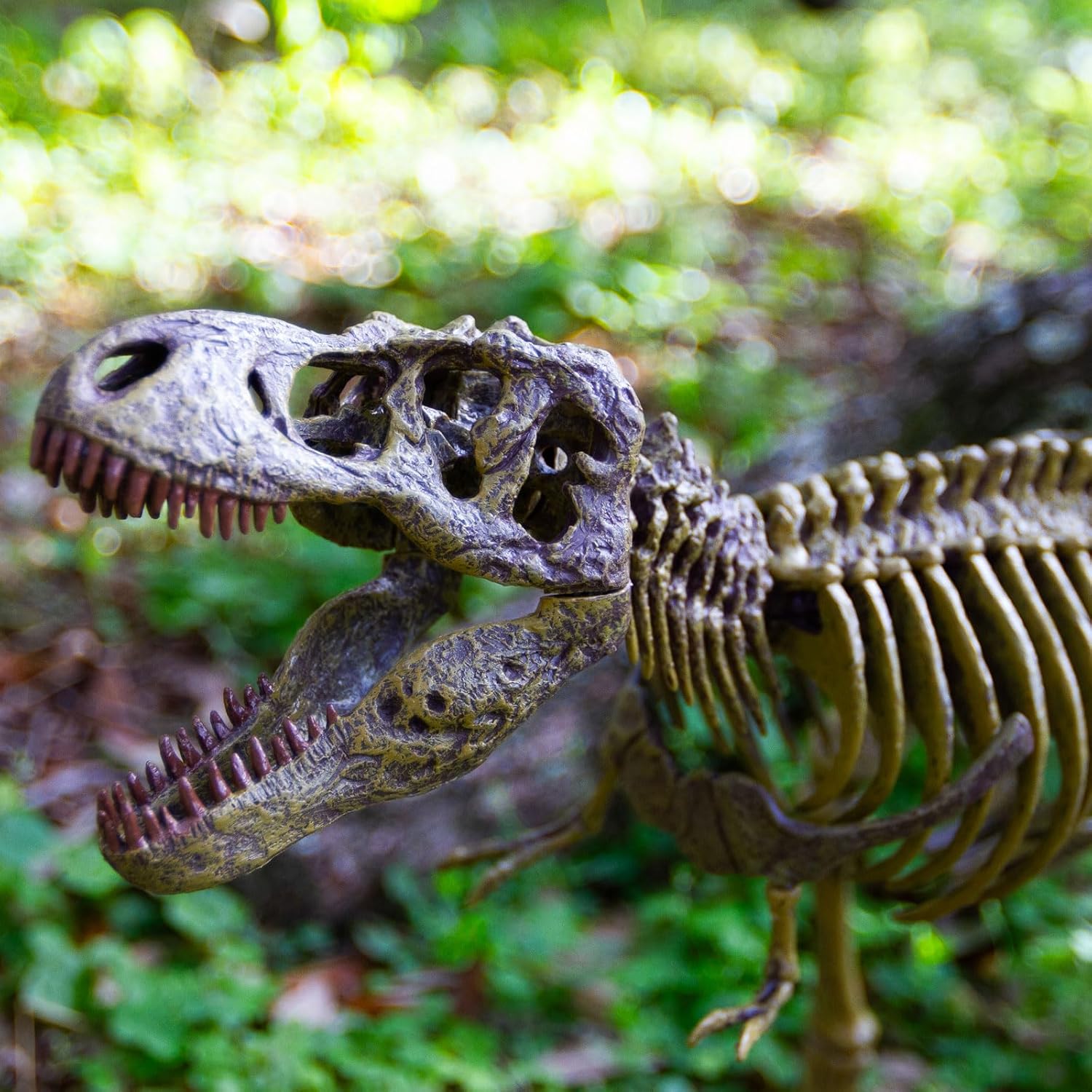Tyrannosaurus Rex Skeleton Model Kit - 1:15 Scale T-Rex Dino Skeleton ...