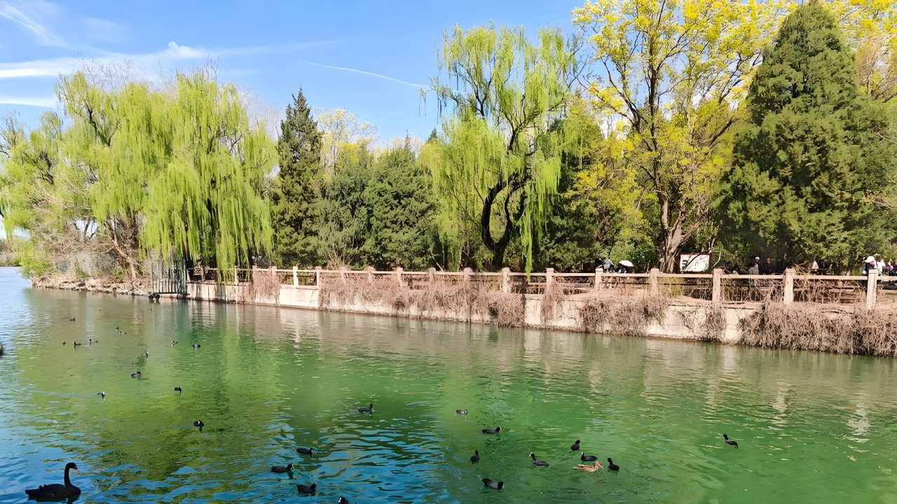 Kunming Travel Guide 2026: Best Times, Itinerary, Attractions