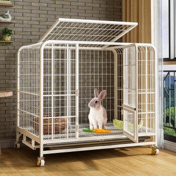 How to Choose the Right Cage Size for Pet Rabbits?