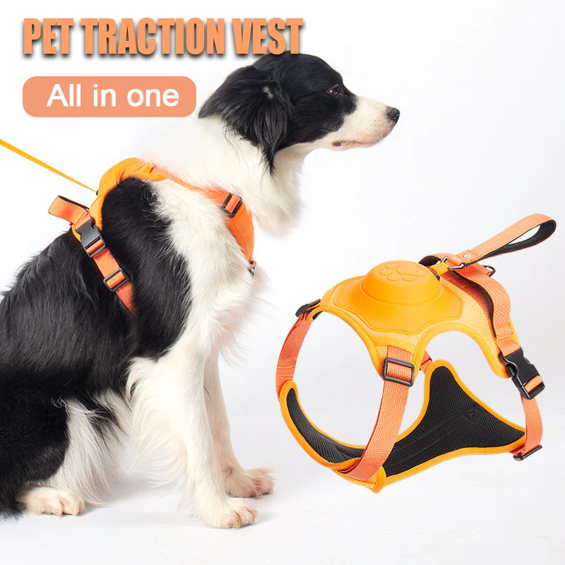 Pet Chest Strap Automatic Telescopic Explosion-proof Impulse Traction Rope
