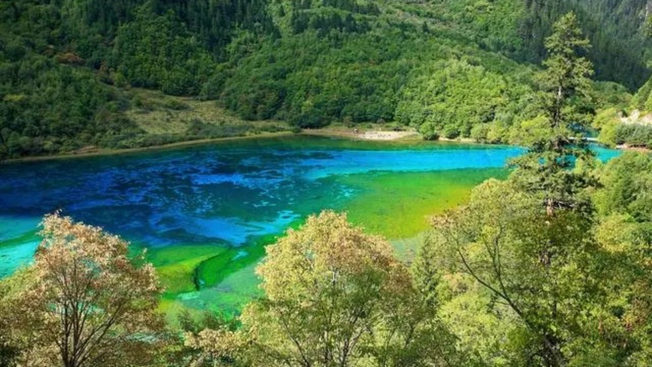 Spring in Jiuzhaigou: A Symphony of Colors and Renewal