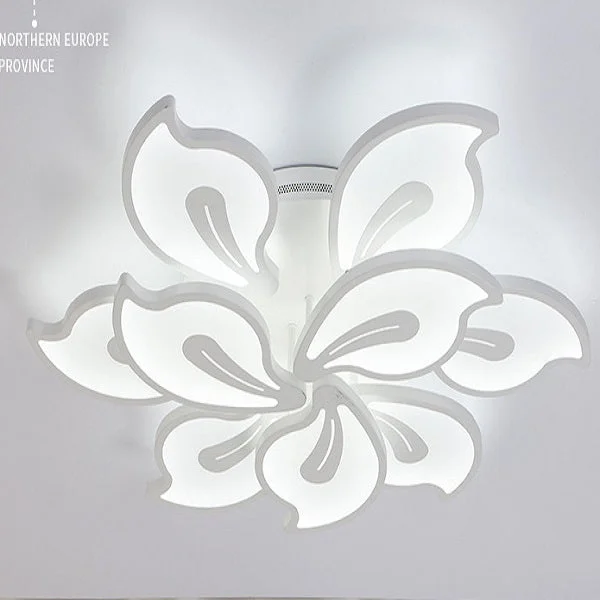 Modern Acrylic Design Ceiling Lights Bedroom Living Room Ceiling Lamp ...