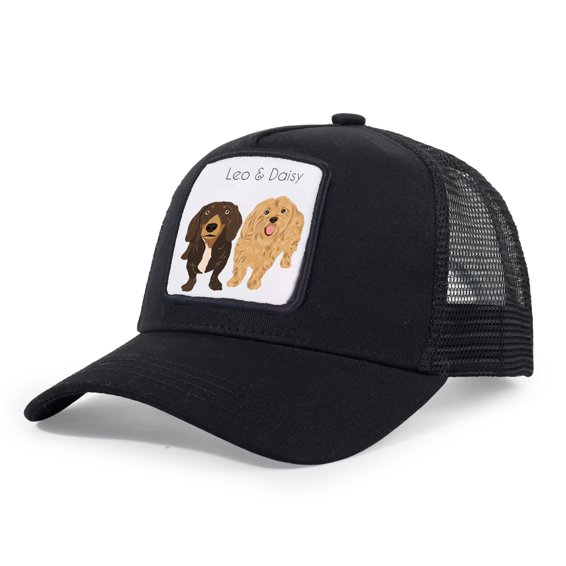 Pet Lover Hat