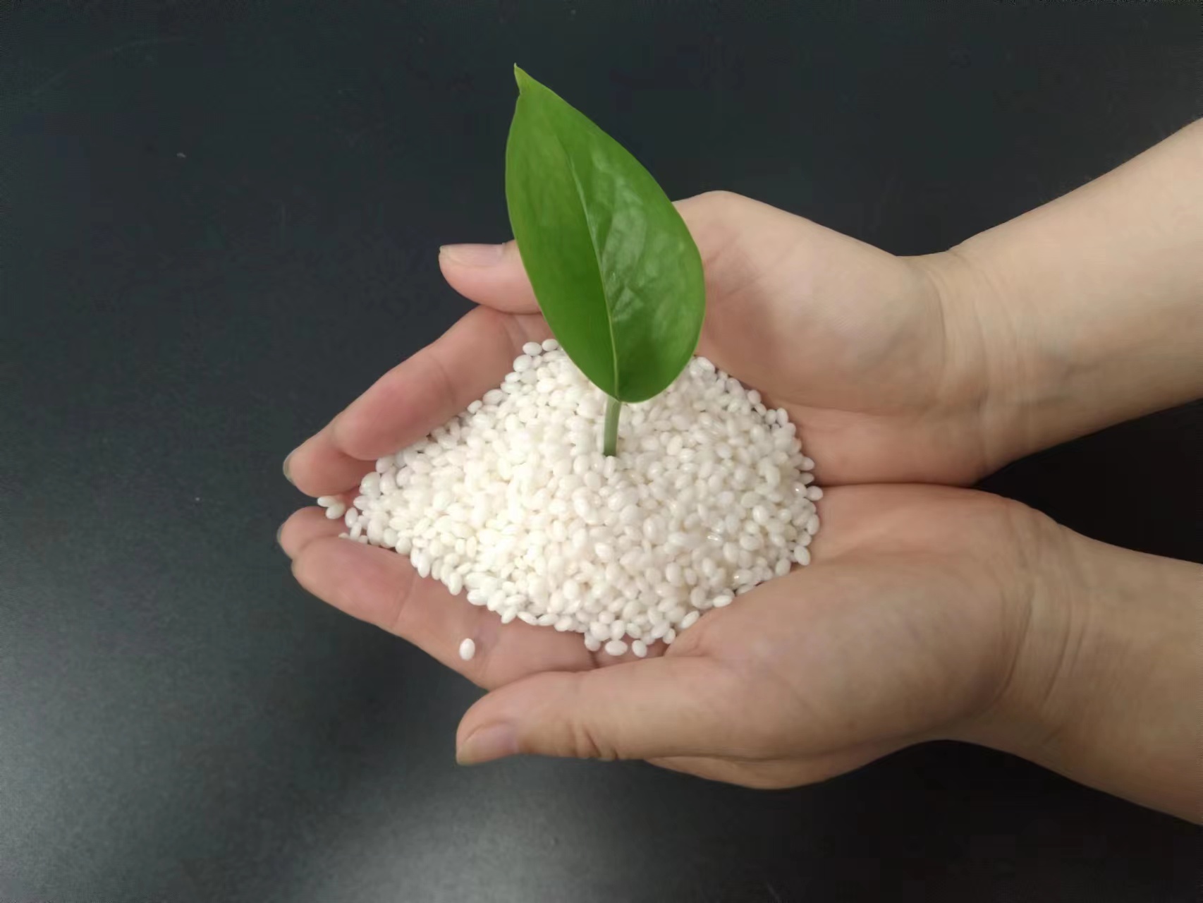 PBAT for Packaging Industry