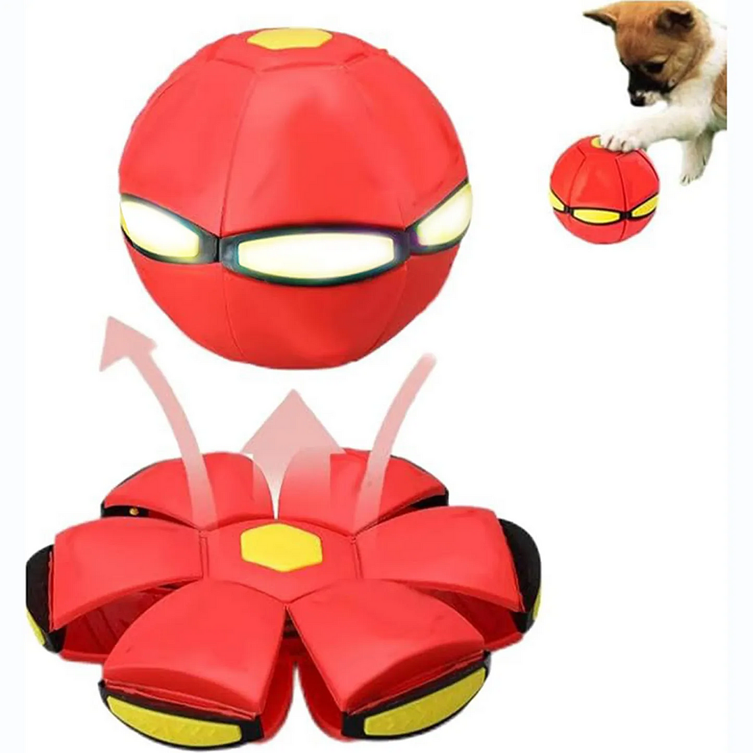 Outfany Doggy Delight Disc