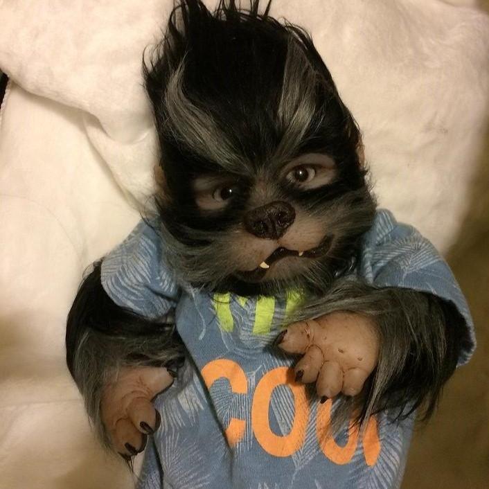 Werepup reborn doll