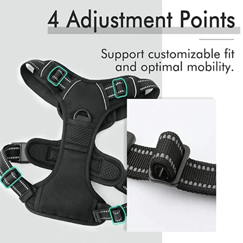 Rabbitgoo Dog Harness, No-pull Pet Harness With 2 Leash Clips ...