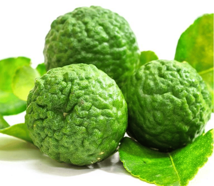 9 PCS VERY RARE LEMON SEEDS