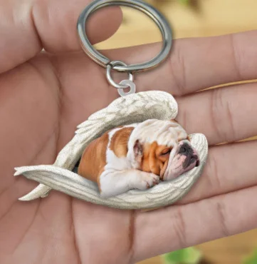 Last day discount 46% 🧸-Sleeping Angel Acrylic Keychain🌀