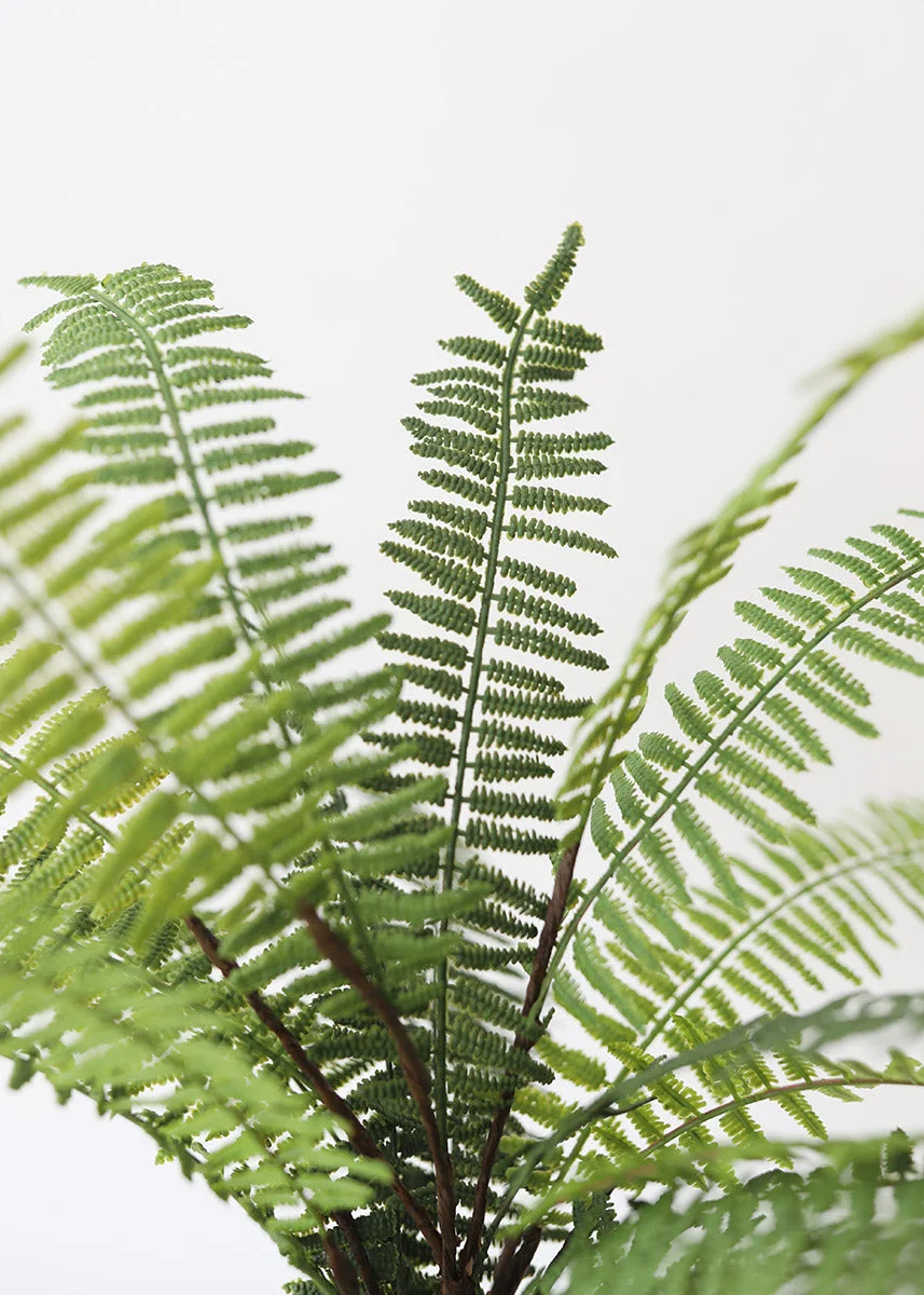 UV Protected Real Touch Fern Outdoor Plant - 19"