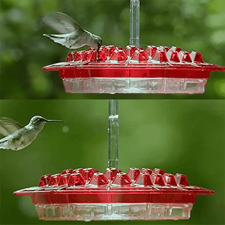 Sherem Hummingbird Feeders