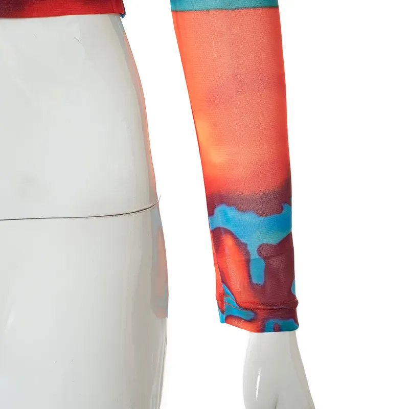 MULTICOLOR PRINT MESH LONG SLEEVE TOP
