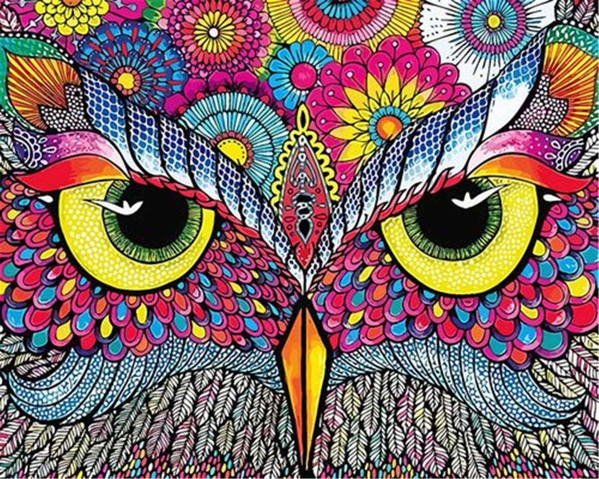 DIY Painting By Numbers | Colorful Owl