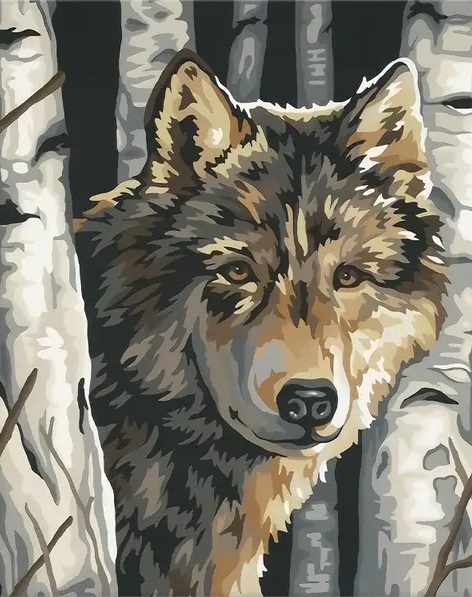 DIY Painting By Numbers | Wolf - 40*50cm