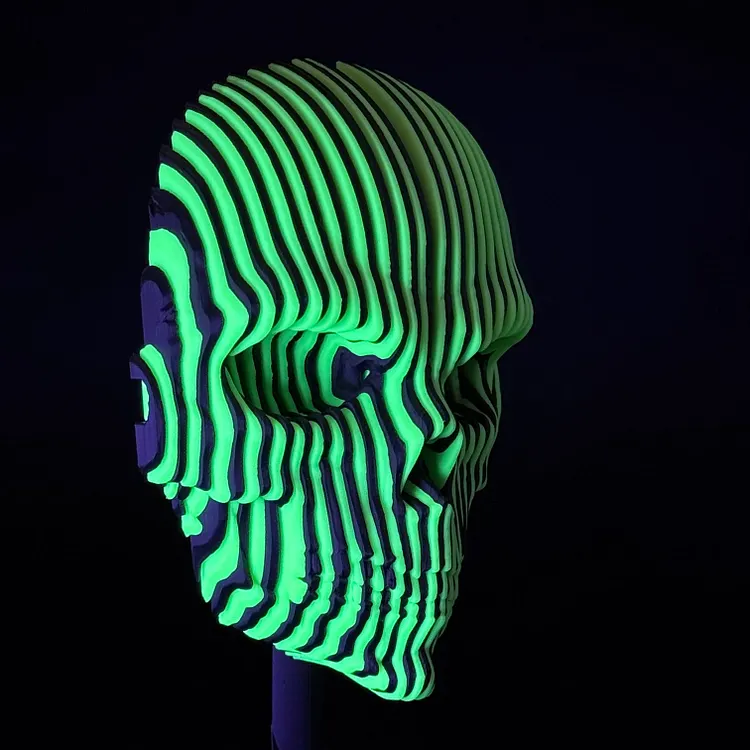 3D Printed Luminous Quantum Skull
