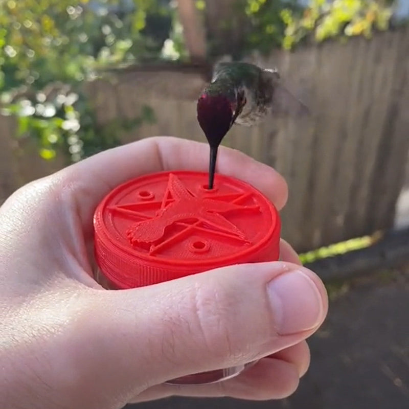 Hummingbird Feeder
