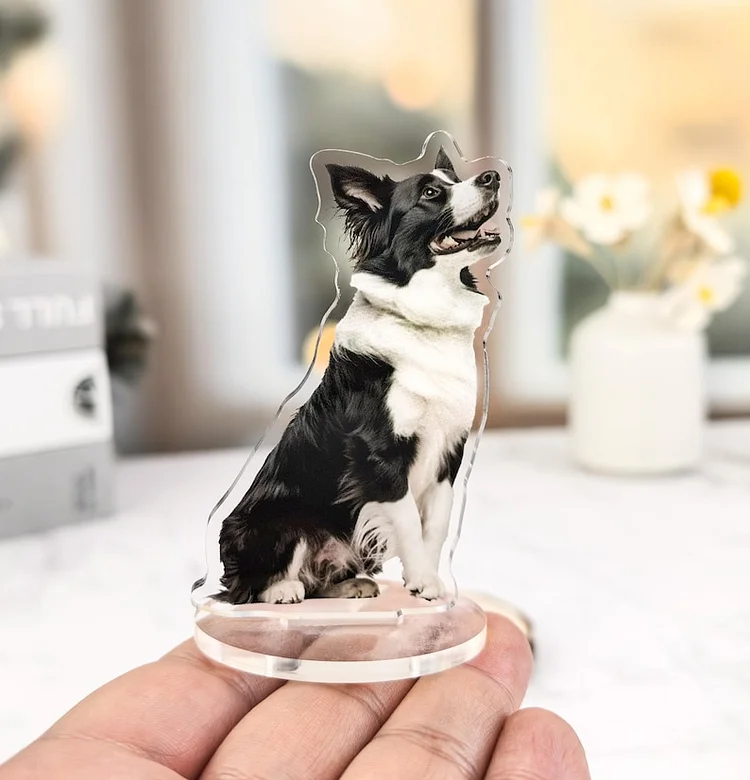 Pet Standee, Custom Pet Photo Statuette, Personalized Acrylic Dog Cat ...