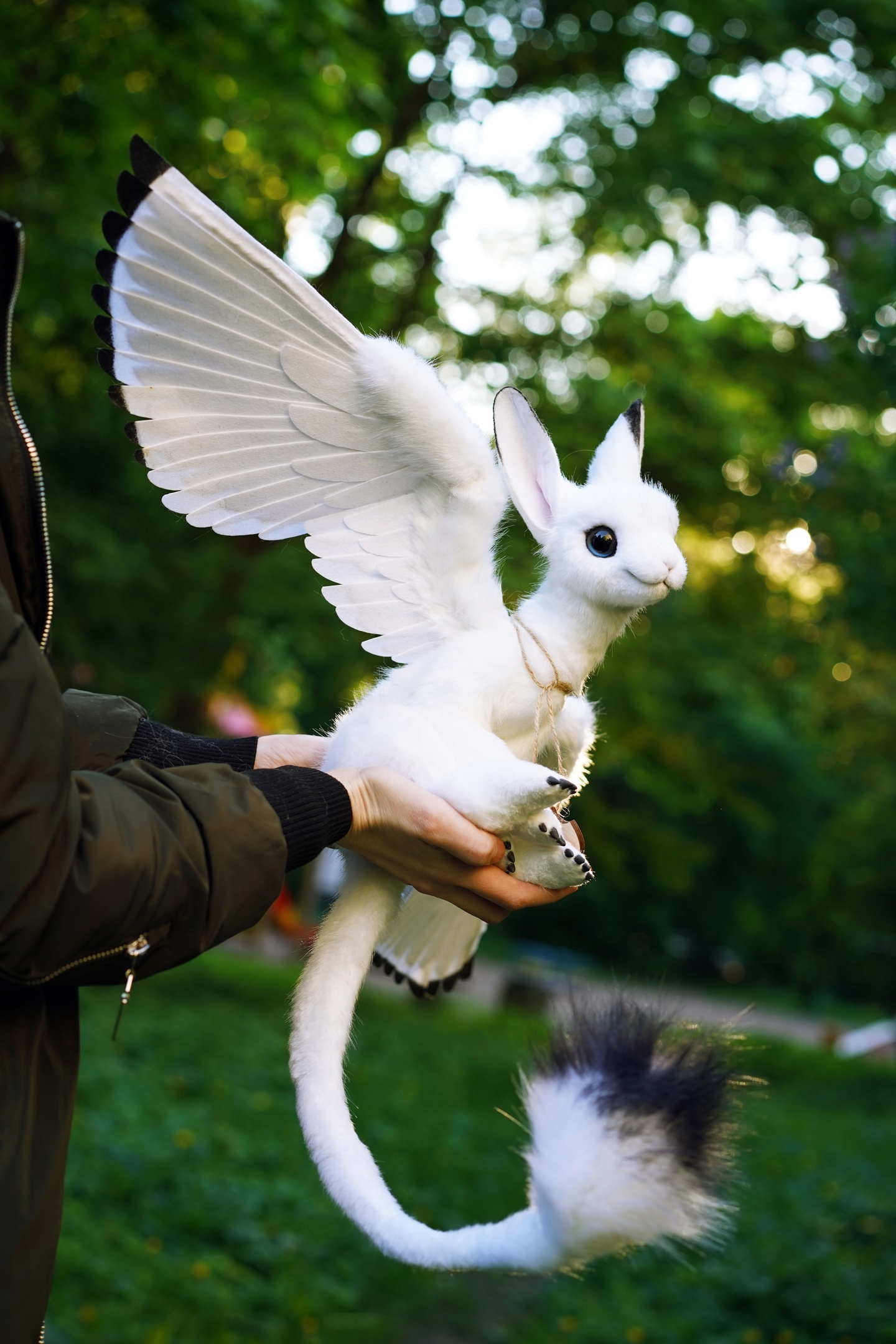 Bellus Lepus Griffin bellus-lepus-griffin