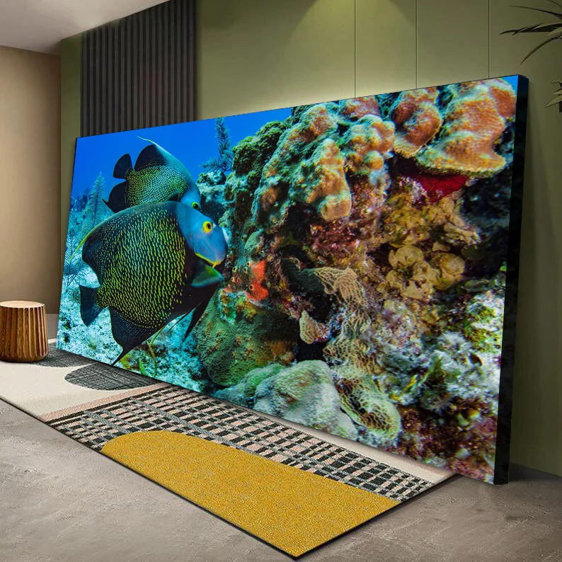 The life of marine fish Canvas Wall Art