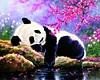DIY Painting By Numbers | A cute panda