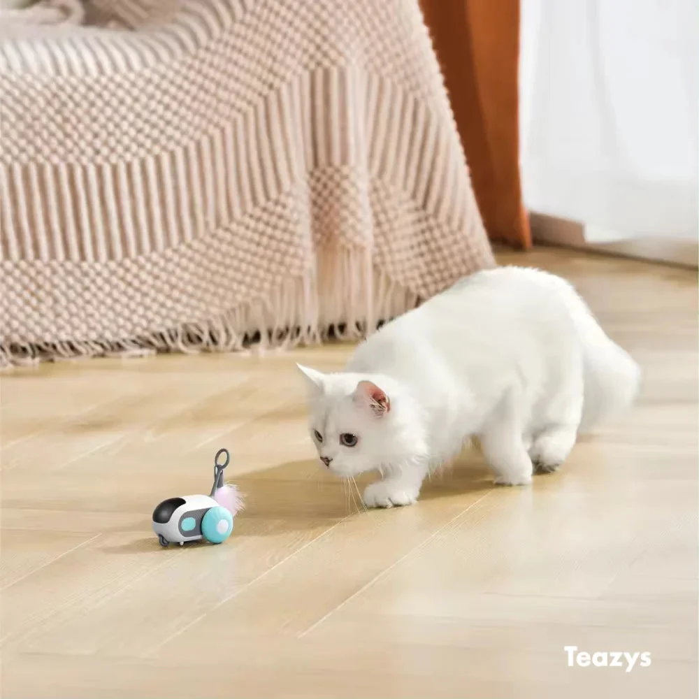 Cat Toys Running Car Remote Control Cat Toys