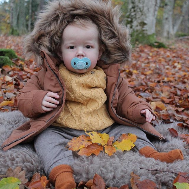 20" Pazoki Cutie Realistic Reborn Baby Boy