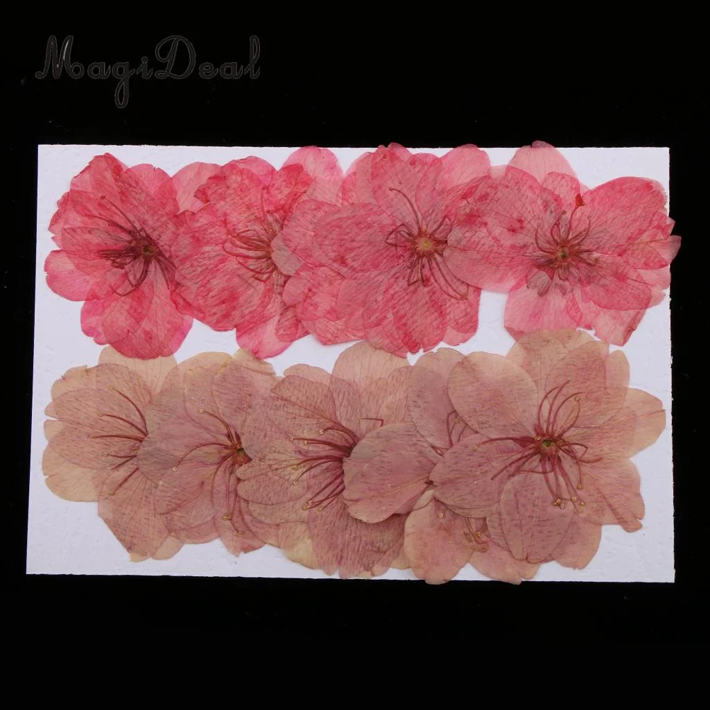MagiDeal 10pcs Mixed Color Pressed Dried Sakura Flowers Cherry Blossom ...