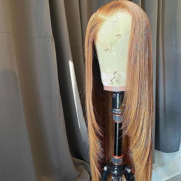 Layered Honey Highlight Color Straight Lace Front Wig