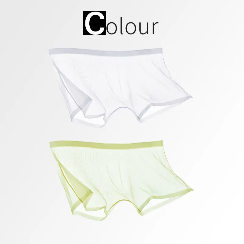 Ice Silk Sexy Mesh Full Transparent Boxer Shorts
