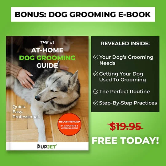 The Original Pup Jet buy 2 free shipping