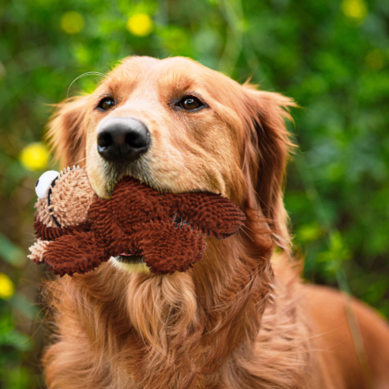Monkey Plush Chewy and Squeakly toy