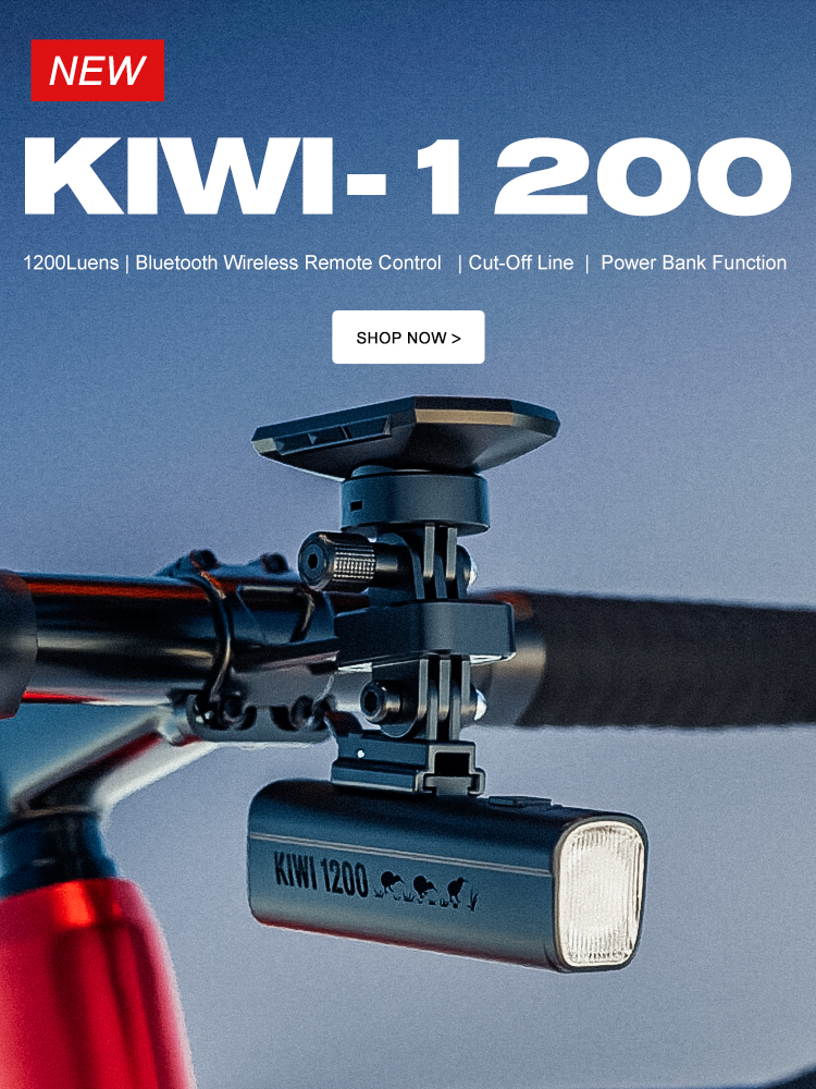 KIWI-1200: The Efficient Companion for Your Rides