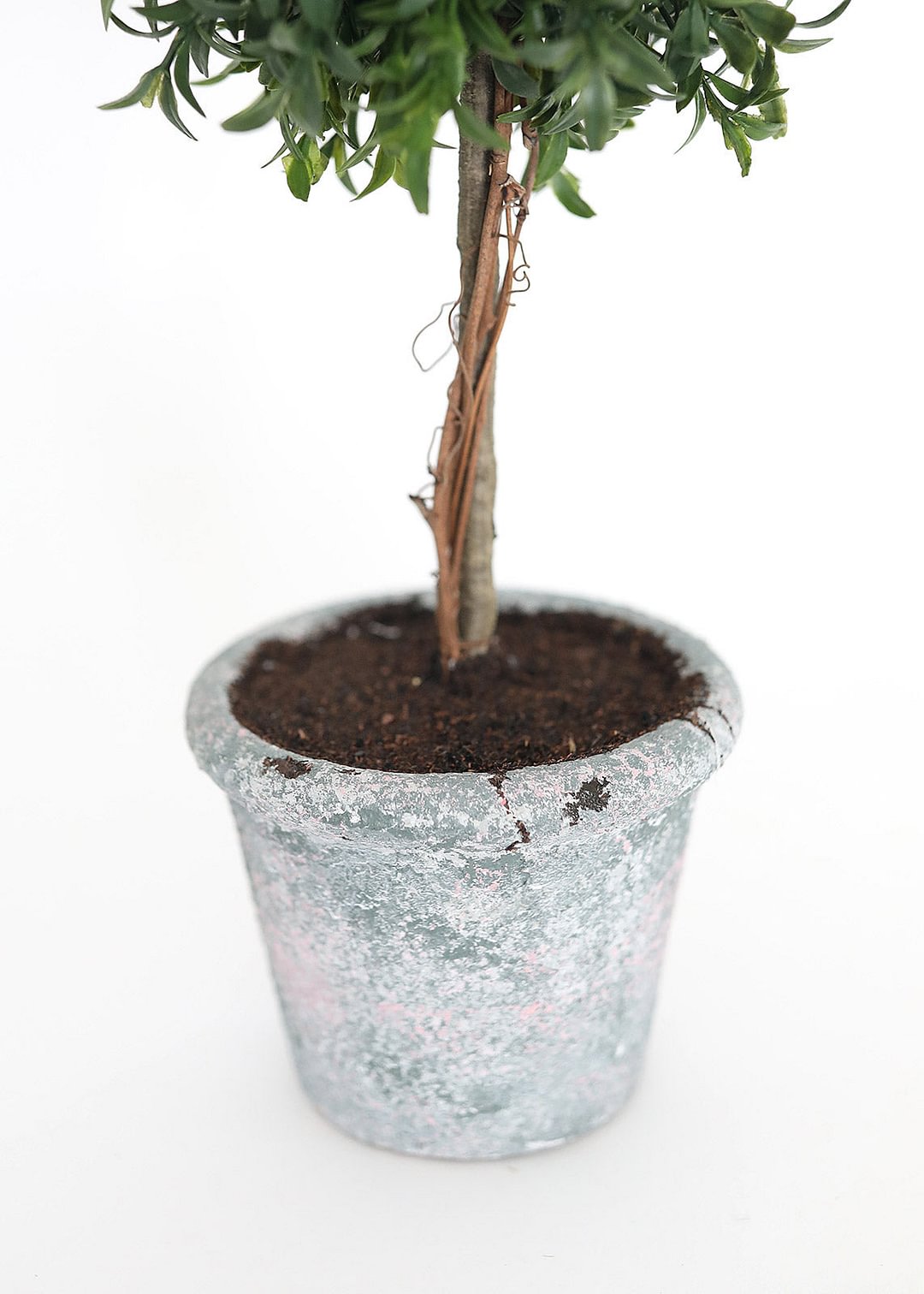 Fake Tea Leaf Topiary Plant - 18"