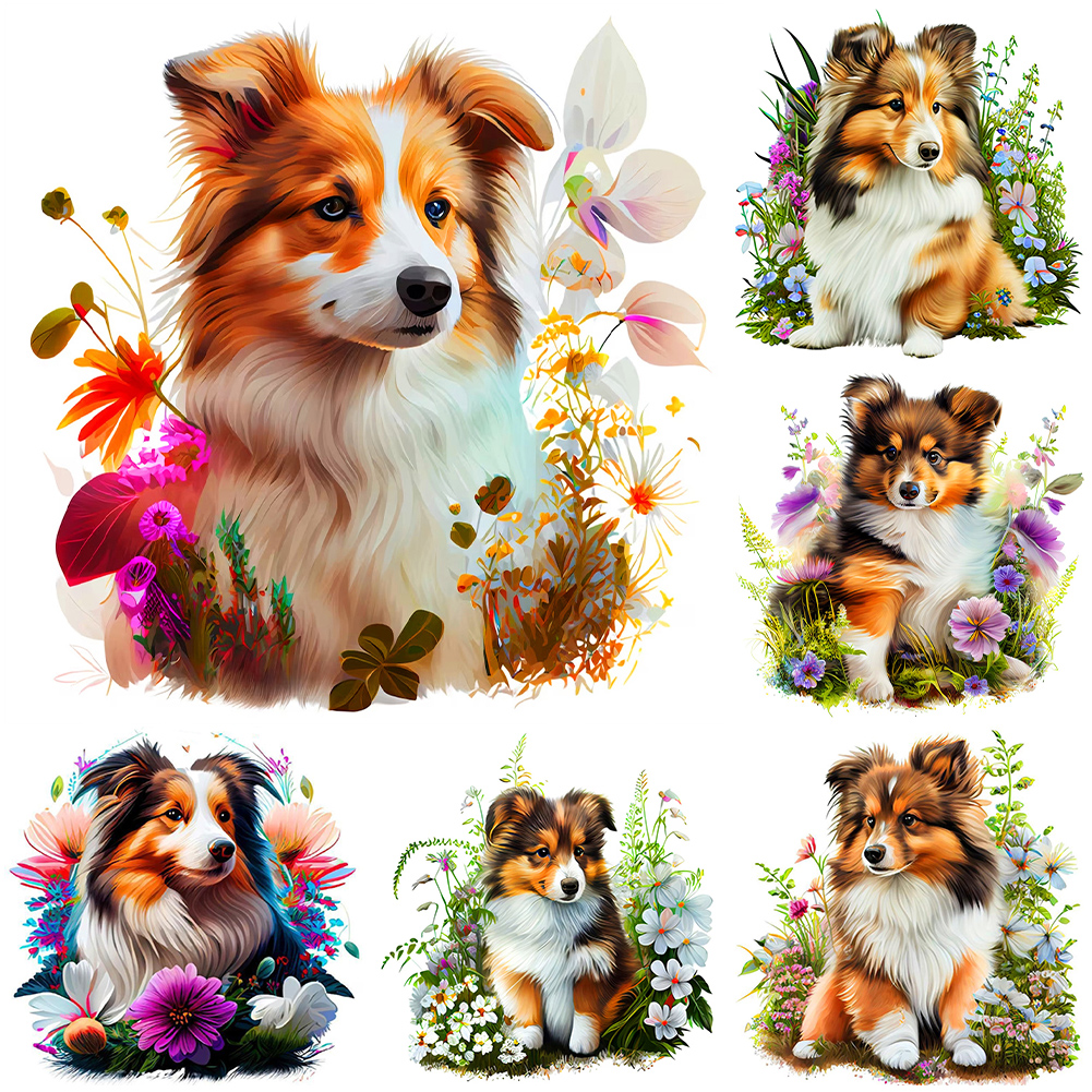 DP Dog