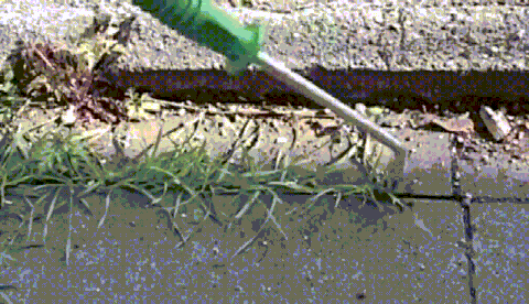 Ground Seam Weeding Tool