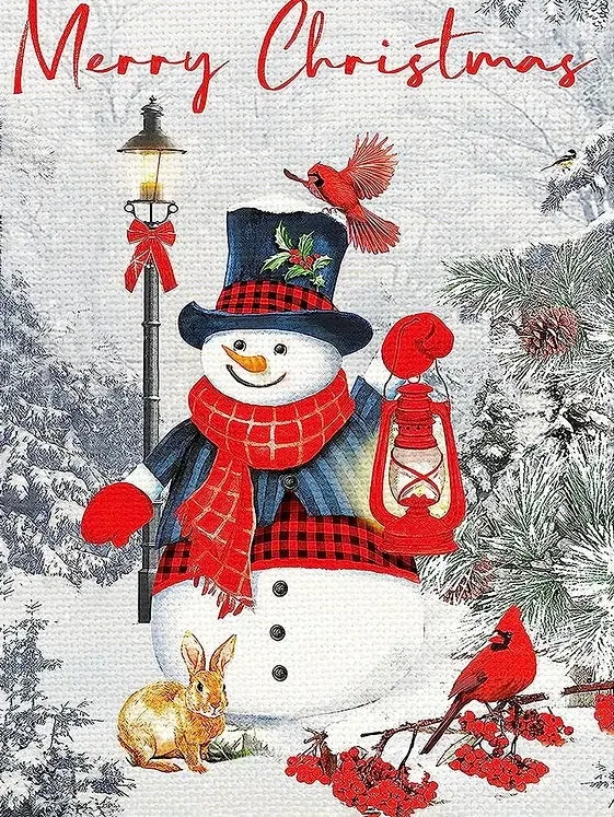 DIY Painting By Numbers | Merry Christmas - 40*50cm