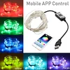 Multicolor LED Animated Outdoor/Indoor Christmas Lightshow LED String ...