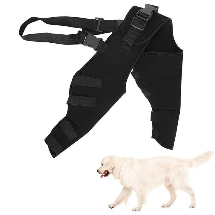 Dog Hip Support For Hip Dysplasia For Back Leg Dog Brace With Safety ...